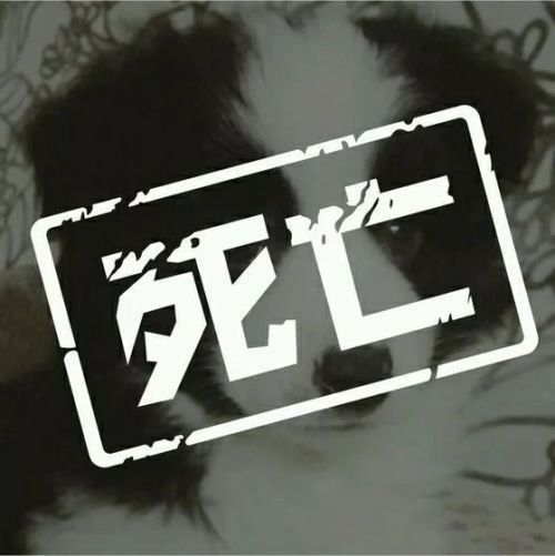 图片左下角有个图案图标