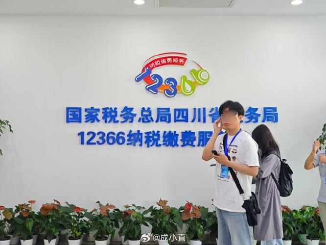12366国家税务总局截图