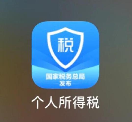 我的个人所得税截图