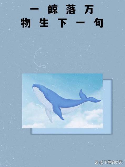 关于鲸鱼的问题及答案图标