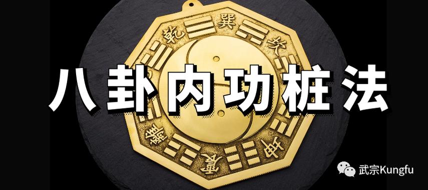 八卦内功绕树配音视频