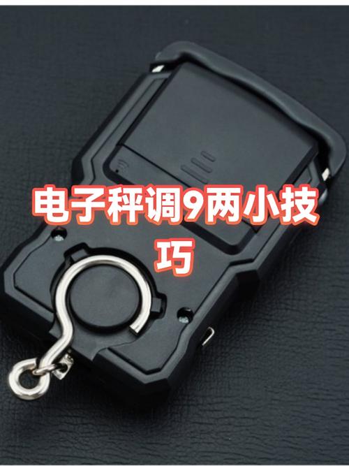 电子秤9两怎么调整斤截图