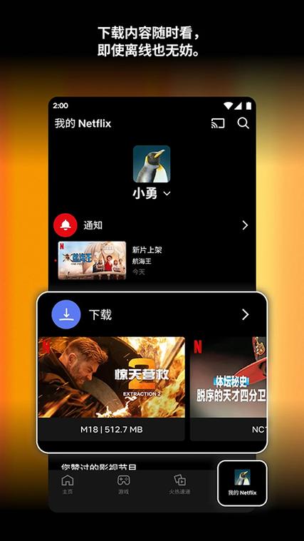 奈飞中文版官网入口下载图标