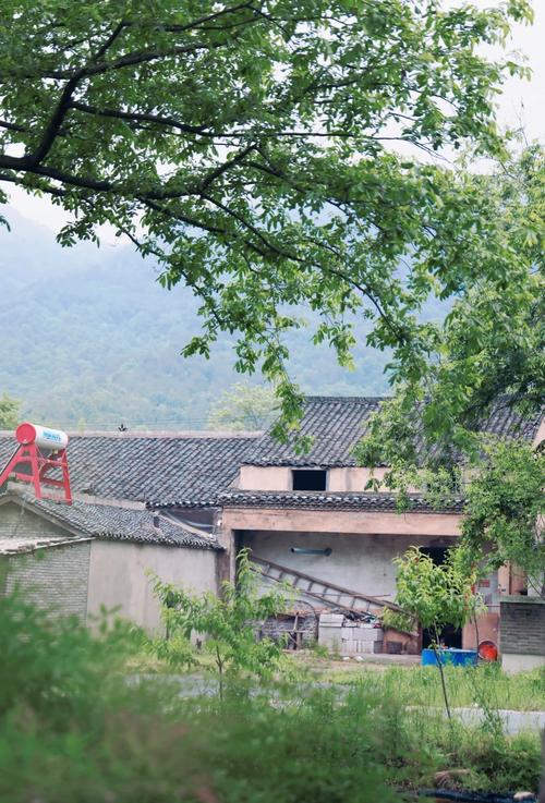 山村桃源集完整版小说截图