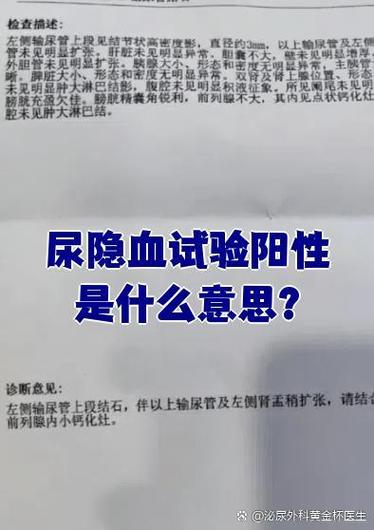尿隐血阳性是什么意思