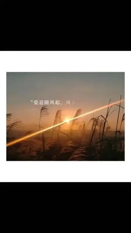 见面的句子唯美短句图标