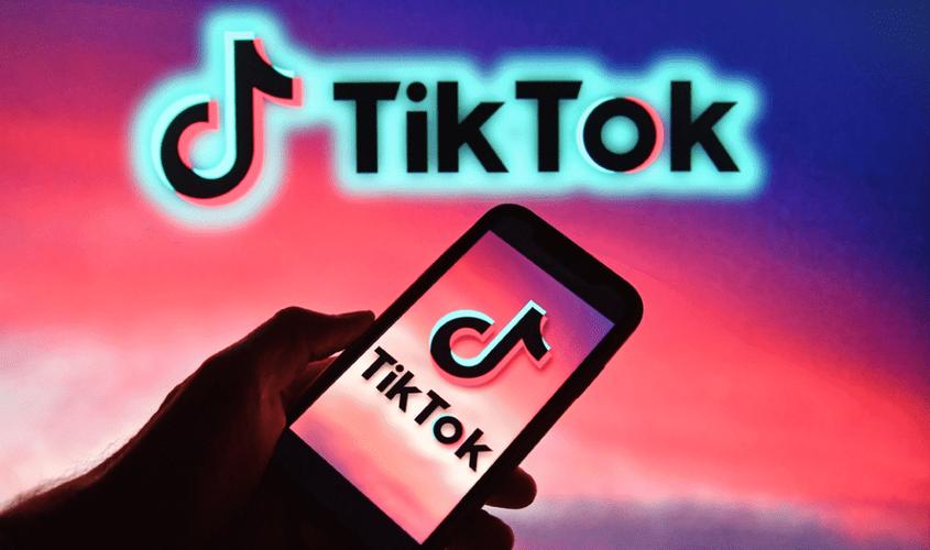 TikTokLite图标