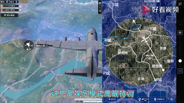 和平精英单排和双排图标