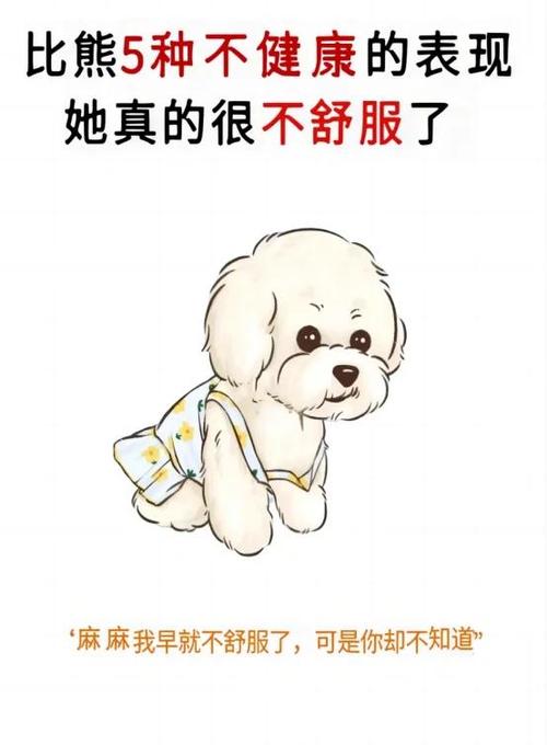 比熊漫画的特点截图