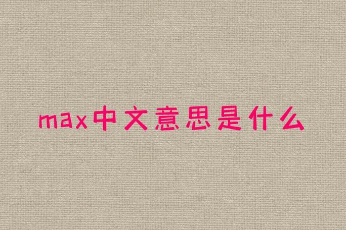 MAX翻译成中文图标