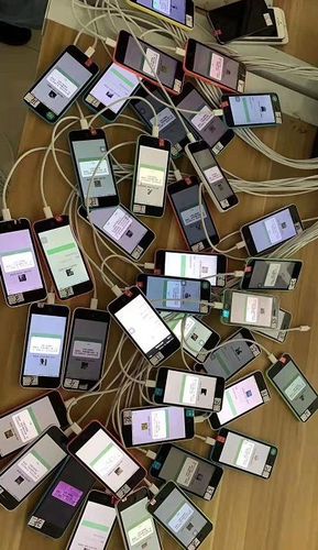 soul注册养号防封图标
