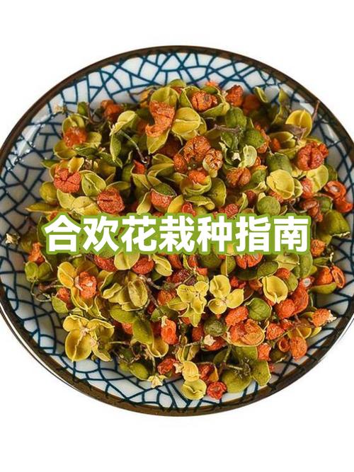 合欢花多久喝一次图标