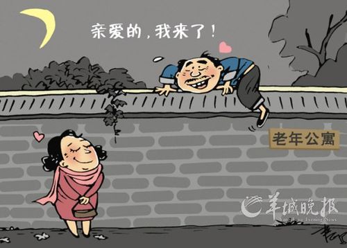 Outline翻墙图标