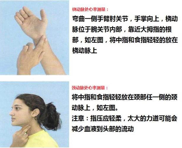 怎么测心率最准截图