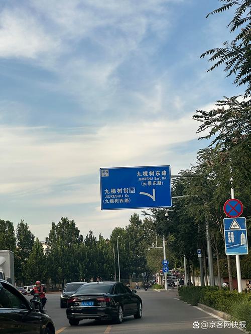 九棵树东路436号图标