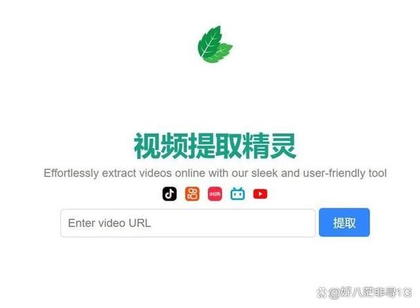 视频提取器免费版网页图标
