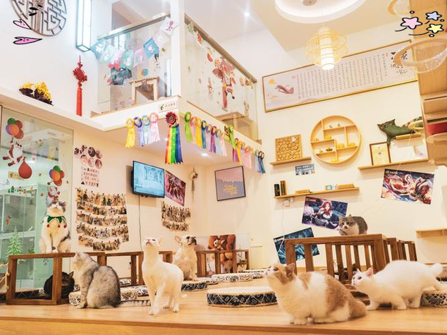 猫店是什么意思图标