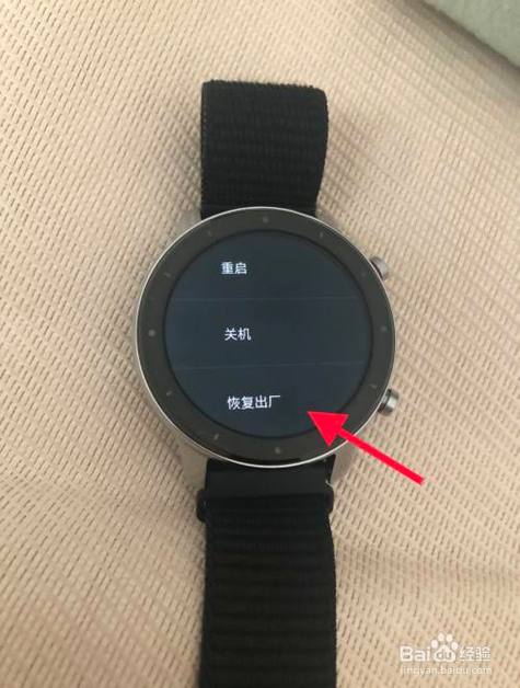 佳明恢复出厂设置图标