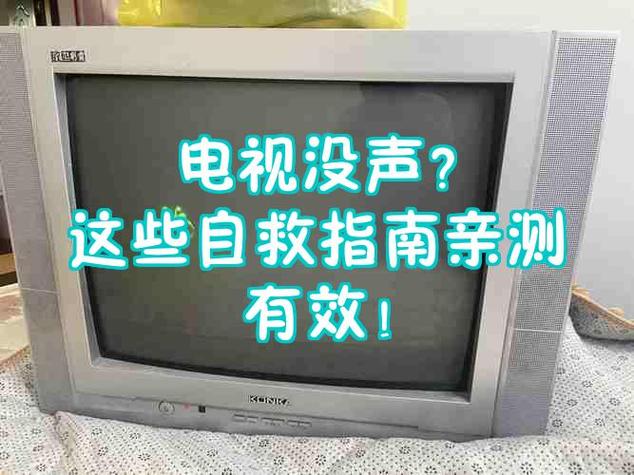 电视突然没声音了怎么办也不是静音图标