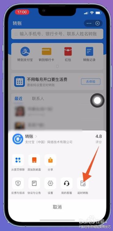 怎么设置延时到账图标