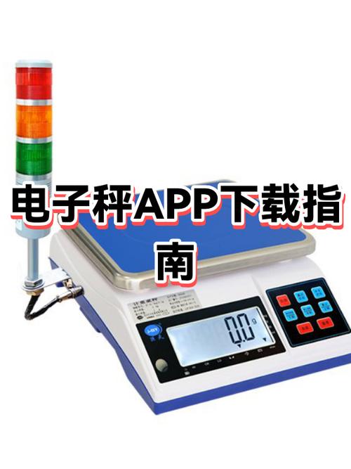 电子秤连接手机要下载什么图标