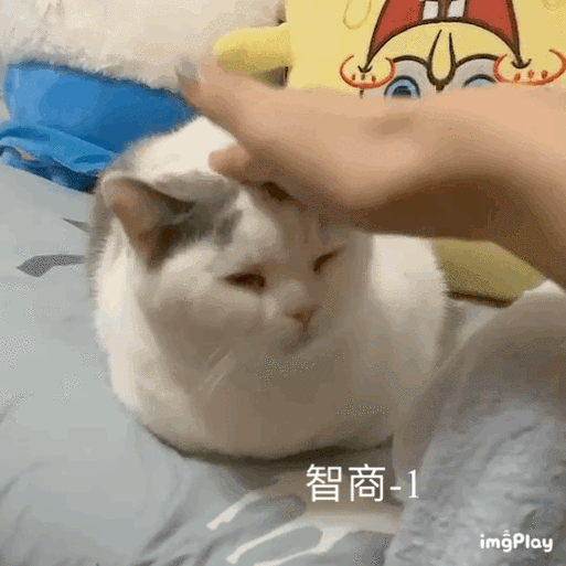 猫咪嘬手指是什么意思