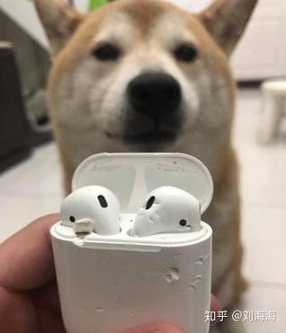 airpods耳机充电仓丢了图标