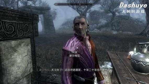 上古卷轴5NPC不对话图标