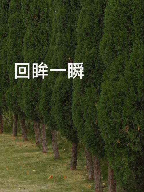 一瞬一瞬图标