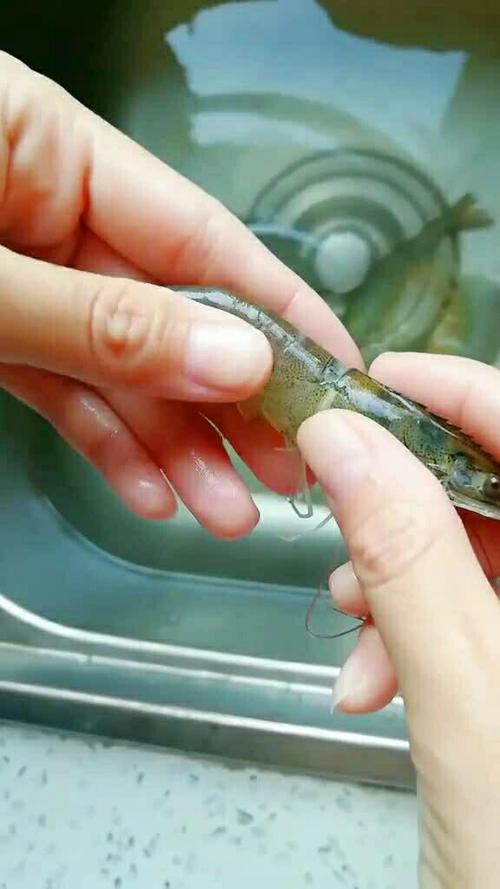 收拾虾的正确方法图标