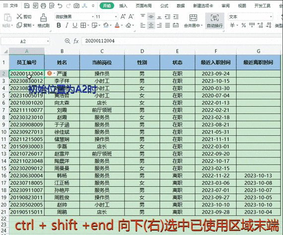 怎么快速选中表格区域截图