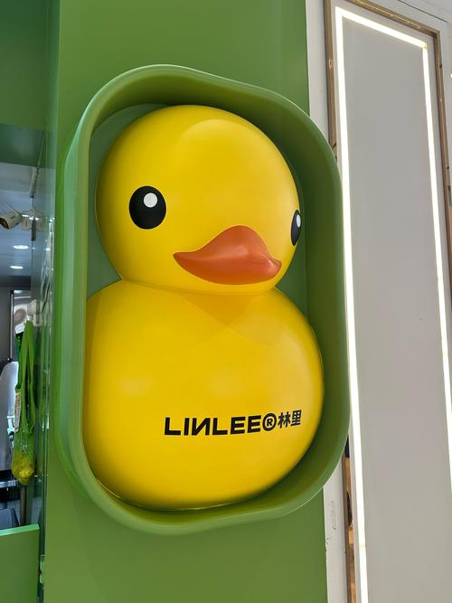 长沙bduck小黄鸭官网缩略图