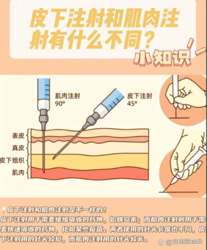 人身体色皮在啥部位