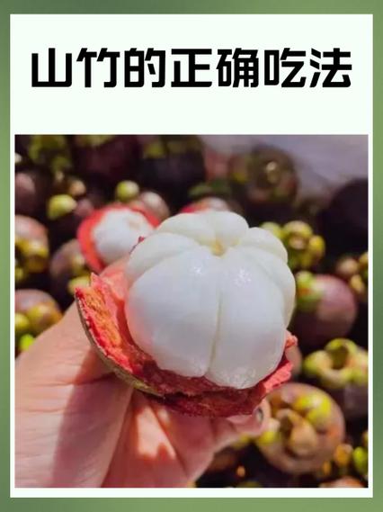 山竹吃法食用方法图标