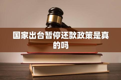 国家暂停还款政策是真的吗图标