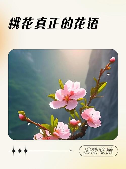 梦见摘桃子吃是什么意思周公解梦图标