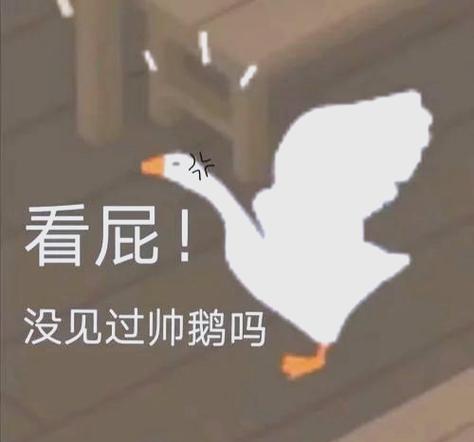 大鹅模拟器怎么下图标