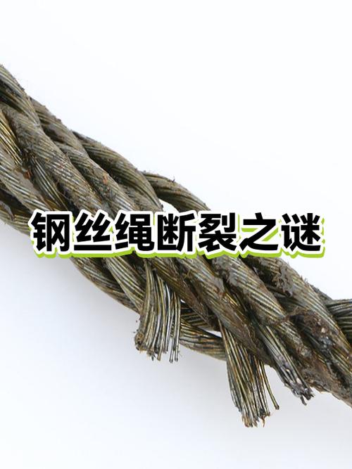 世界征服者4(仿钢丝)图标