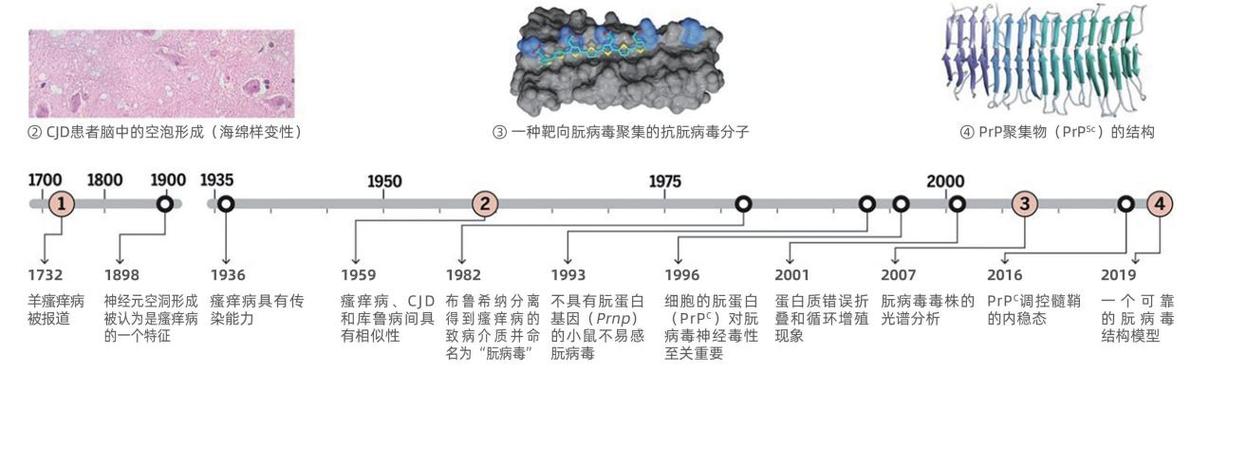 全世界朊病毒感染人数图标