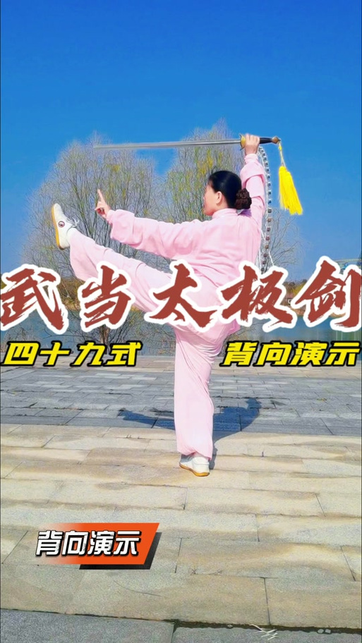 武当剑的特点和风格图标