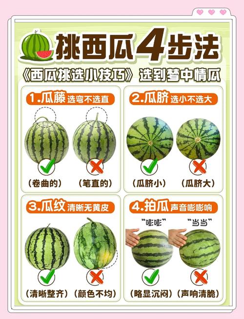 挑西瓜游戏规则截图