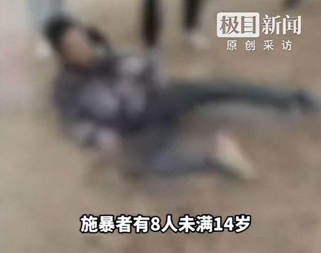宁夏一小学生拒绝借车遭殴打图标