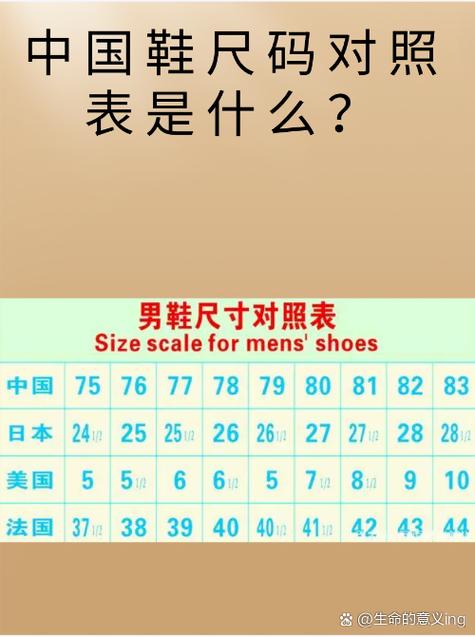 欧洲尺码与中国尺码换算表图标