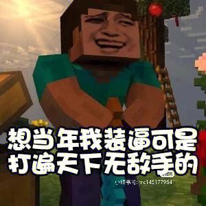 mc沙雕图片图标