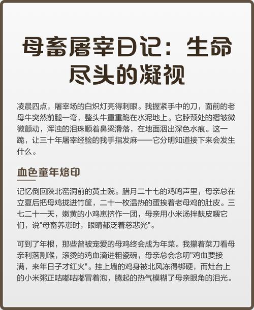 穿越原神母畜宗门女修小说免费阅读图标