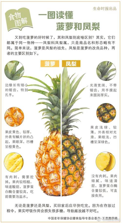 凤梨和菠萝有啥区别图标