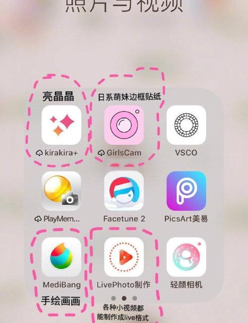 苹果特有的拍照软件截图