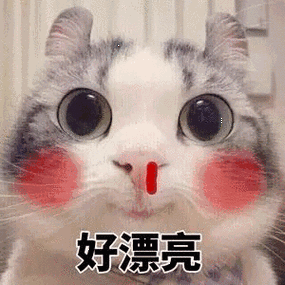 猫被打咪流鼻血表情包图标