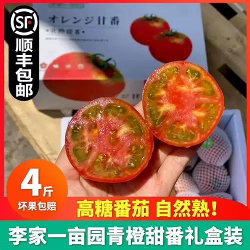 青橙四年图标