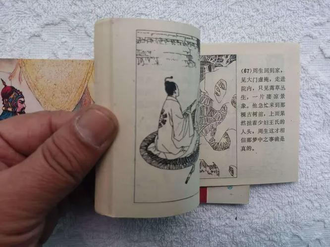 玉娇龙阅读全文图标
